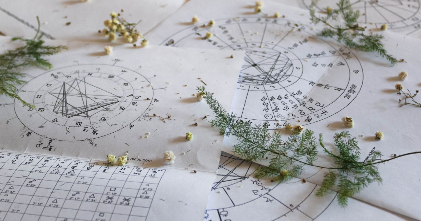 The 13th Zodiac Sign You've Never Known (and How It Changes Everything ...