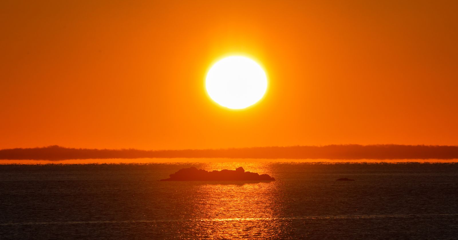 5 Illuminating Insights: Decoding the Line of Sun in Palmistry - Starry ...